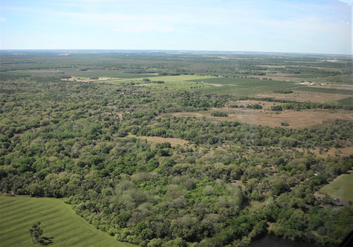 2,232 Acre Beautiful Old Florida Ranch - Florida Inland Realty